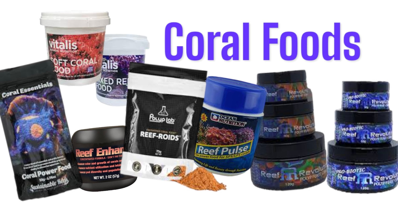 Coral Food – Reef Secrets