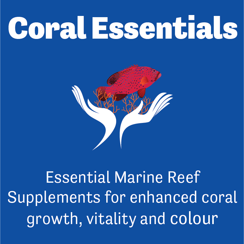 Coral Essentials – Reef Secrets