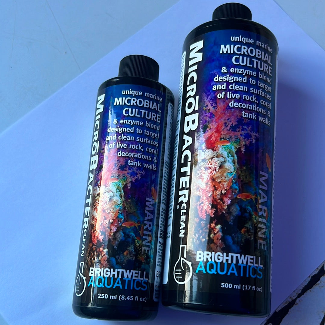 Brightwell Aquatics MicroBacter Clean – Reef Secrets