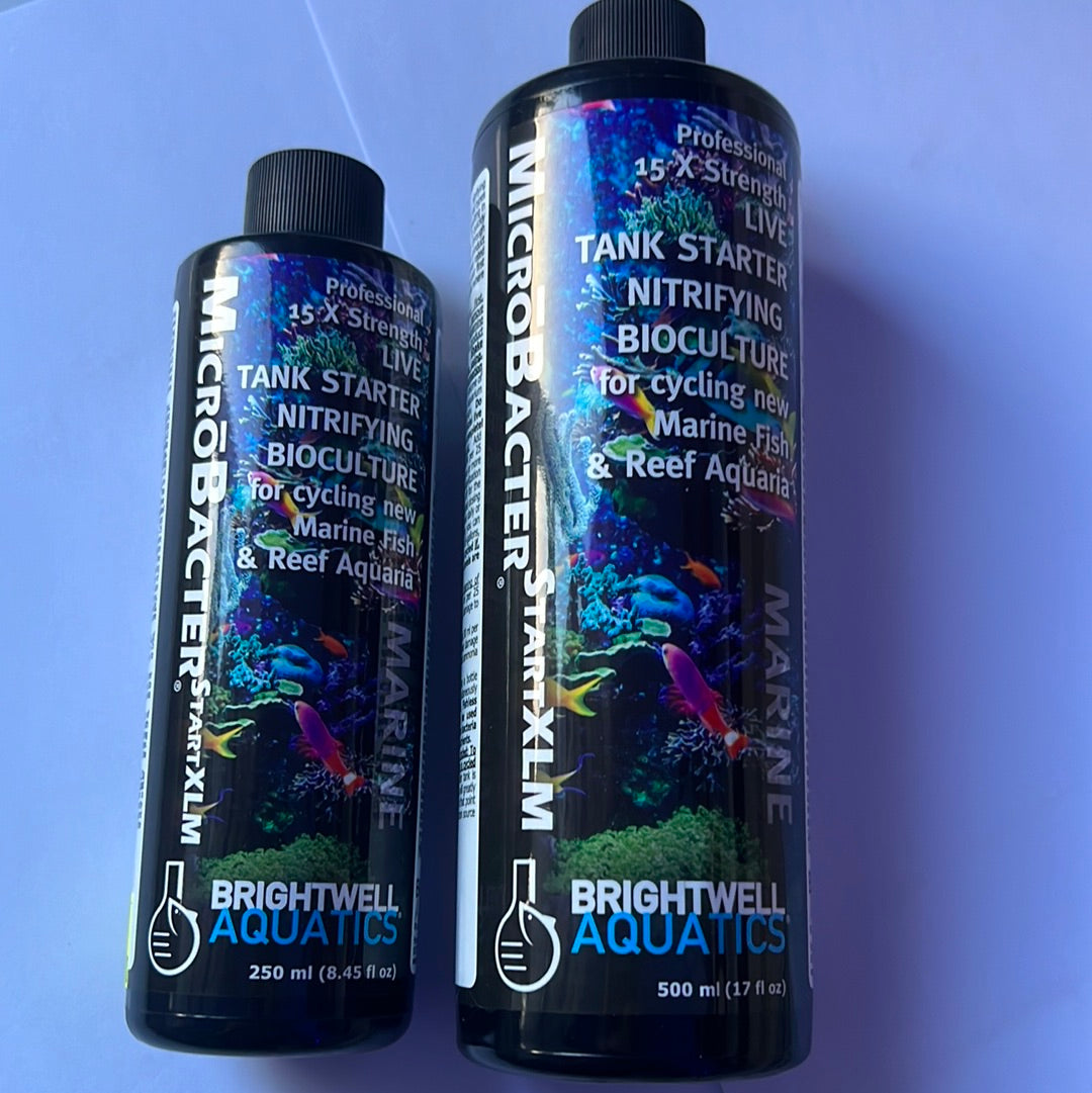 Brightwell Aquatics MicroBacter Start XLM – Reef Secrets