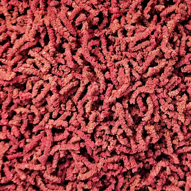 spectrum red by sas – Reef Secrets