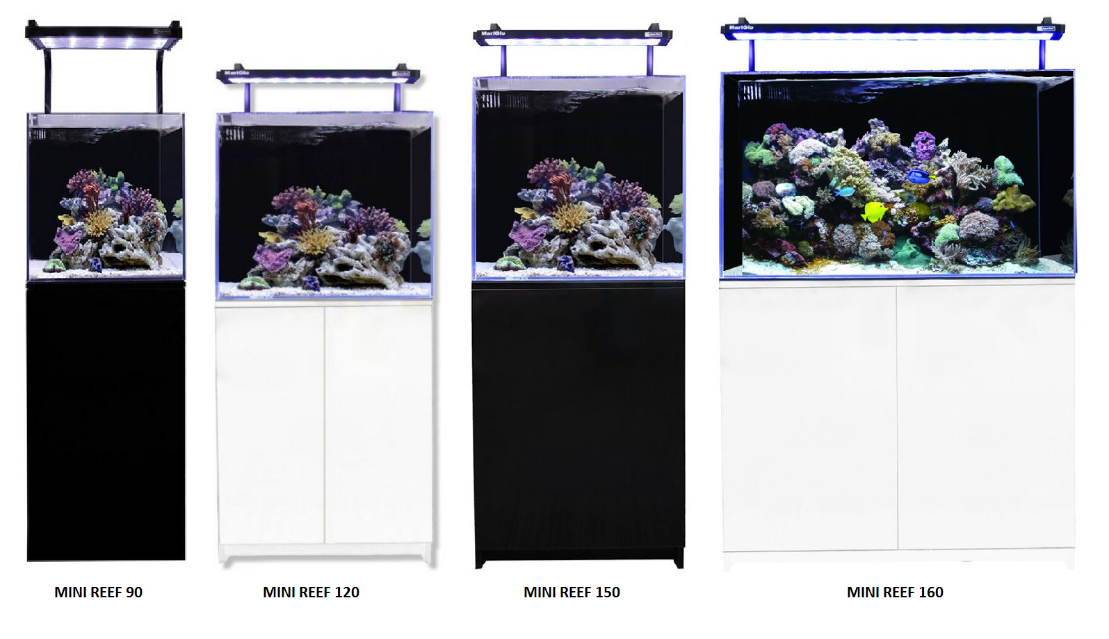 Aqua One Mini Reefs – Reef Secrets
